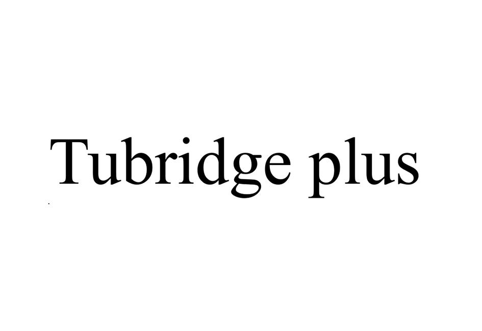 TUBRIDGE PLUS_商标查询 - 企查查