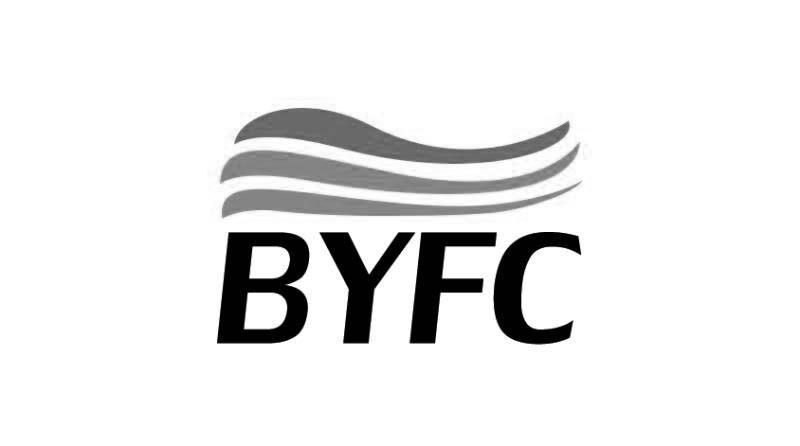 BYFC_商标查询 - 企查查